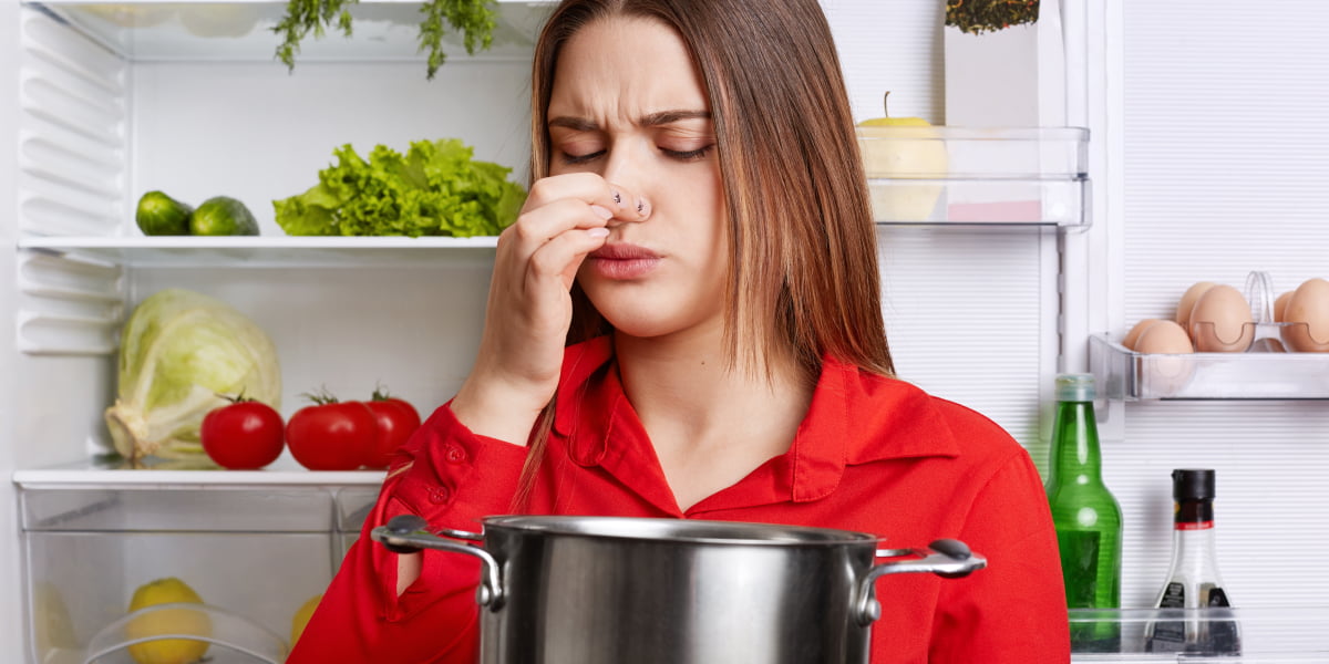 Complete Guide On How To Get Rid Of Musty Smell In The House